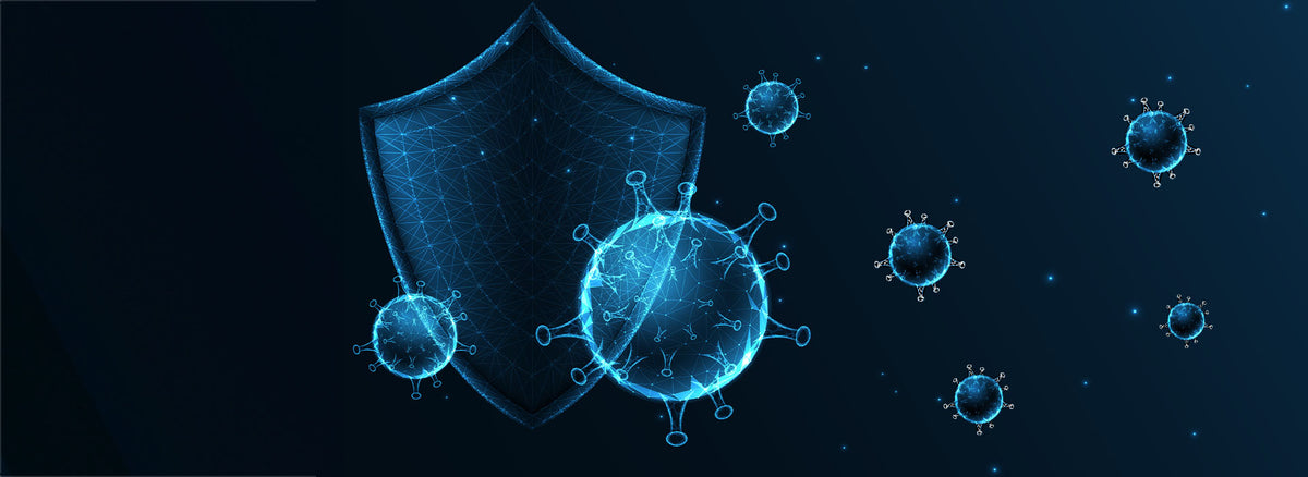 Strengthen your immune system with high-quality probiotics | – HLH ...